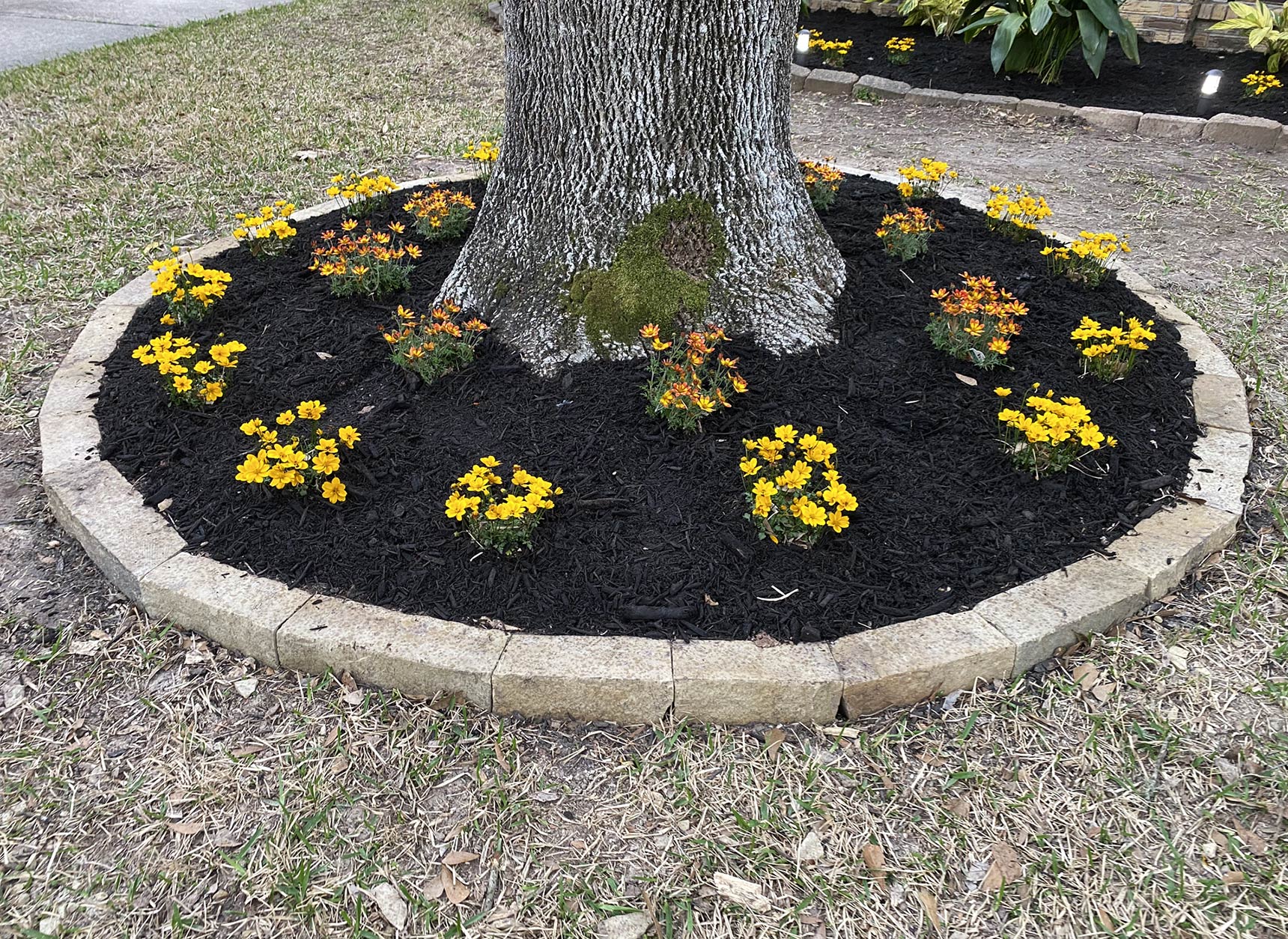 Fermin Lawn Maintenance – Gallery